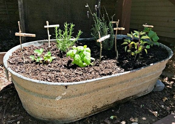 Using Galvanized Metal Containers Around the House