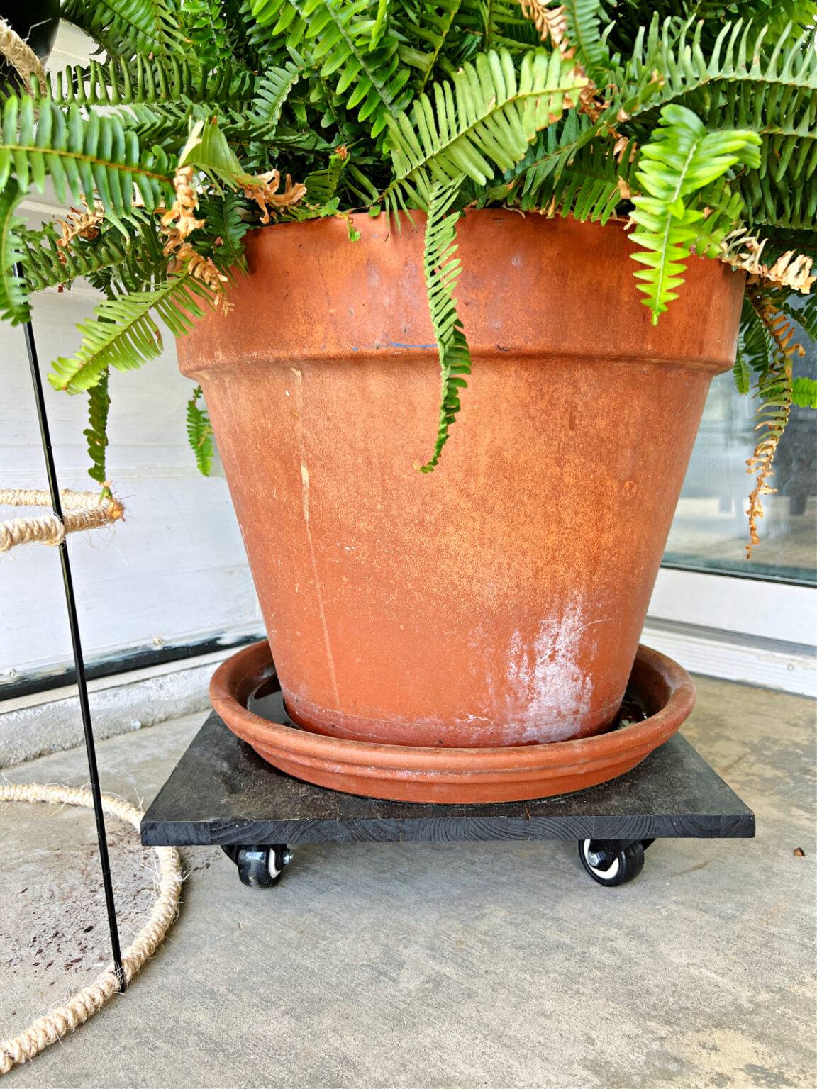 The Easiest DIY Rolling Plant Stand · Chatfield Court