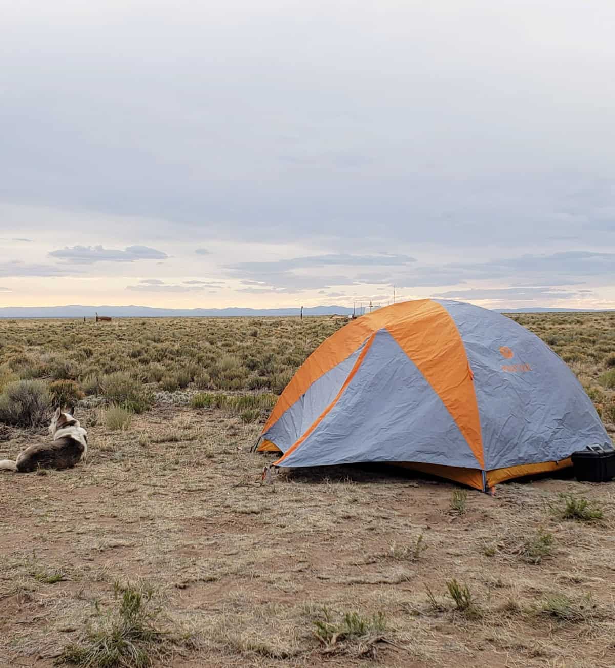 How to Find Campgrounds and Book the Perfect Campsite · Chatfield Court